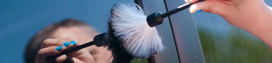 Forensic Science (Criminology Option) - St. Mary's University