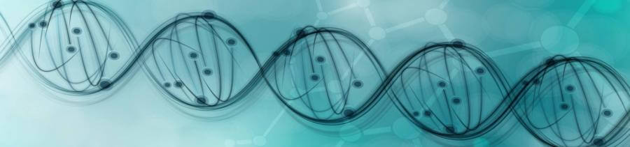 Bioinformatics - St. Mary's University