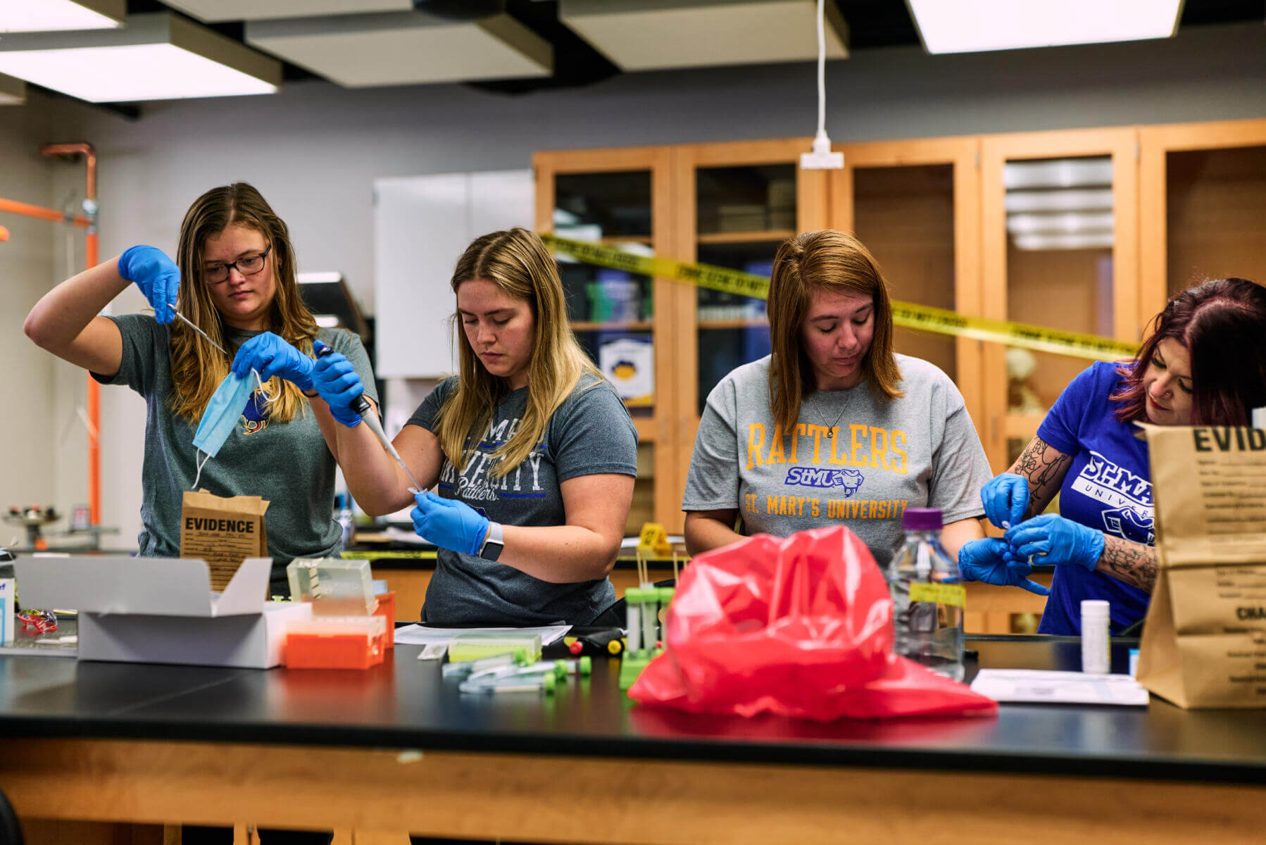 Faculty in the School of Science, Engineering and Technology